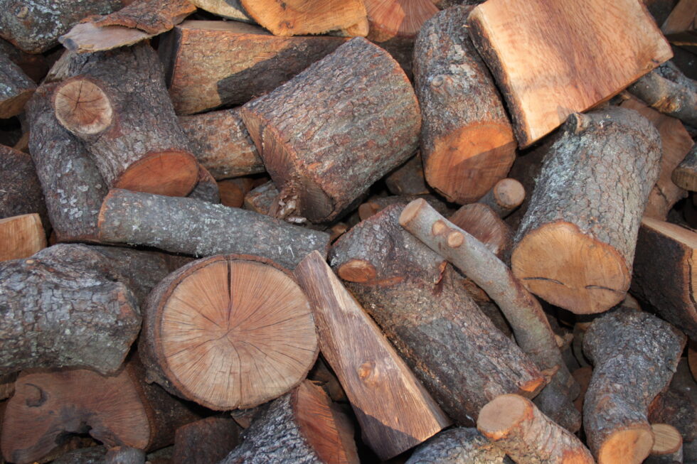 Comprar leña de encina en Madrid - Carbones Saiz